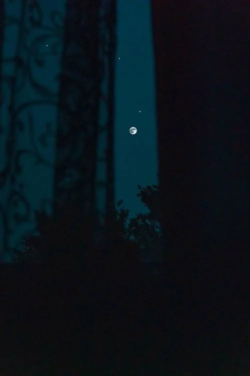 Lonesome Night – Fevered Mind
