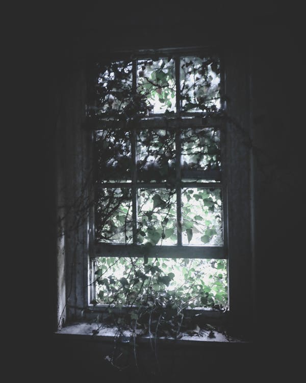 What They Took – Fevered Mind
