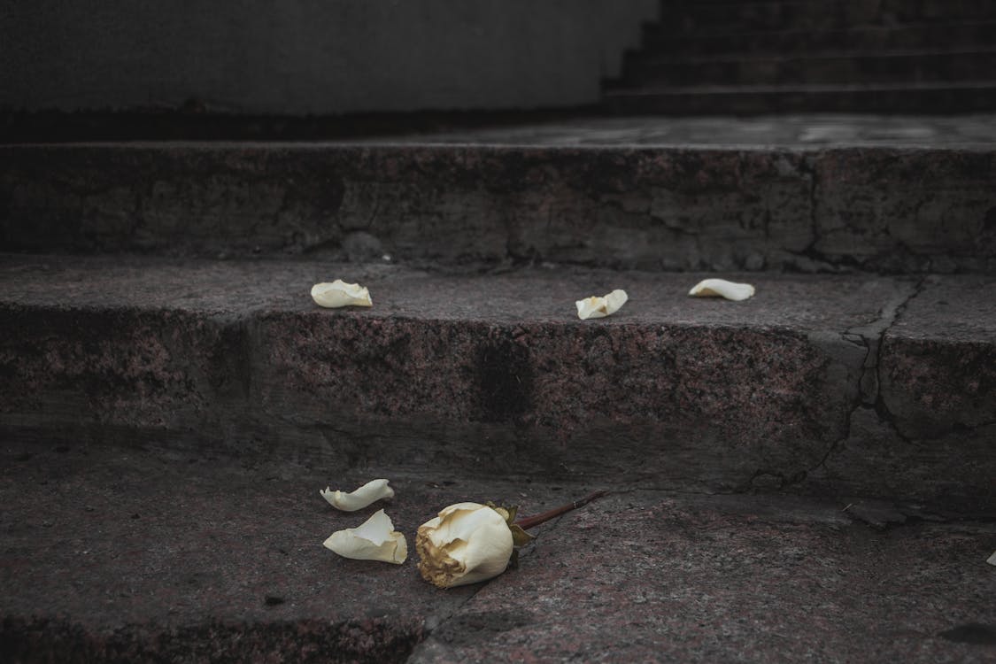 Up From the Cracks – Fevered Mind