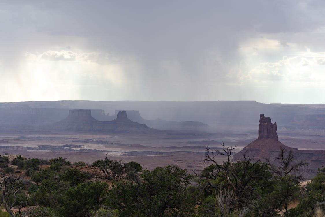 Desert Yearnings – Fevered Mind