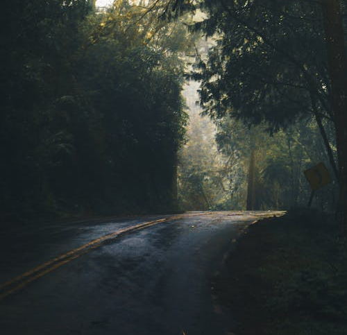 Leaving Was Easy, For You – Fevered Mind