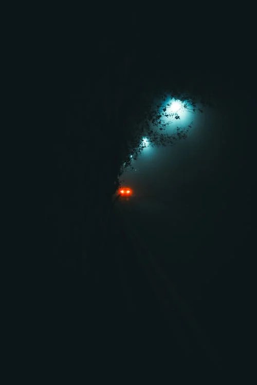 Upon a Roadway Lost – Fevered Mind